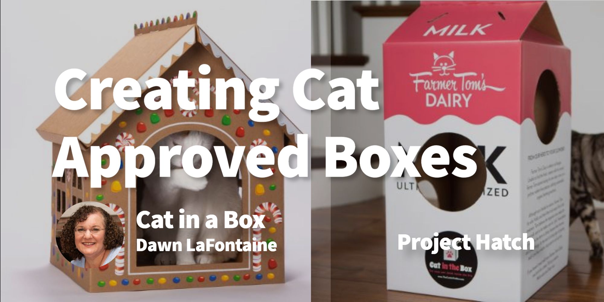 Creating (Cat Approved) Cardboard Boxes For Endless Fun