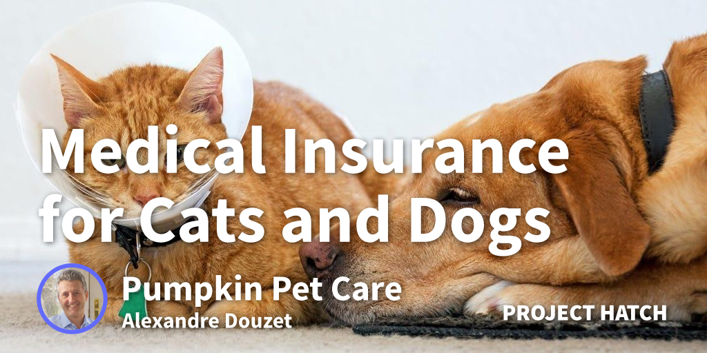 How I Founded a Successful Pet Insurance Company